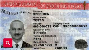 EAD - Employment Authorization Document - Latest US Immigration Posts ...