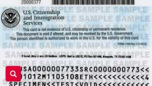 Employment Authorization Card - US Immigration Blog